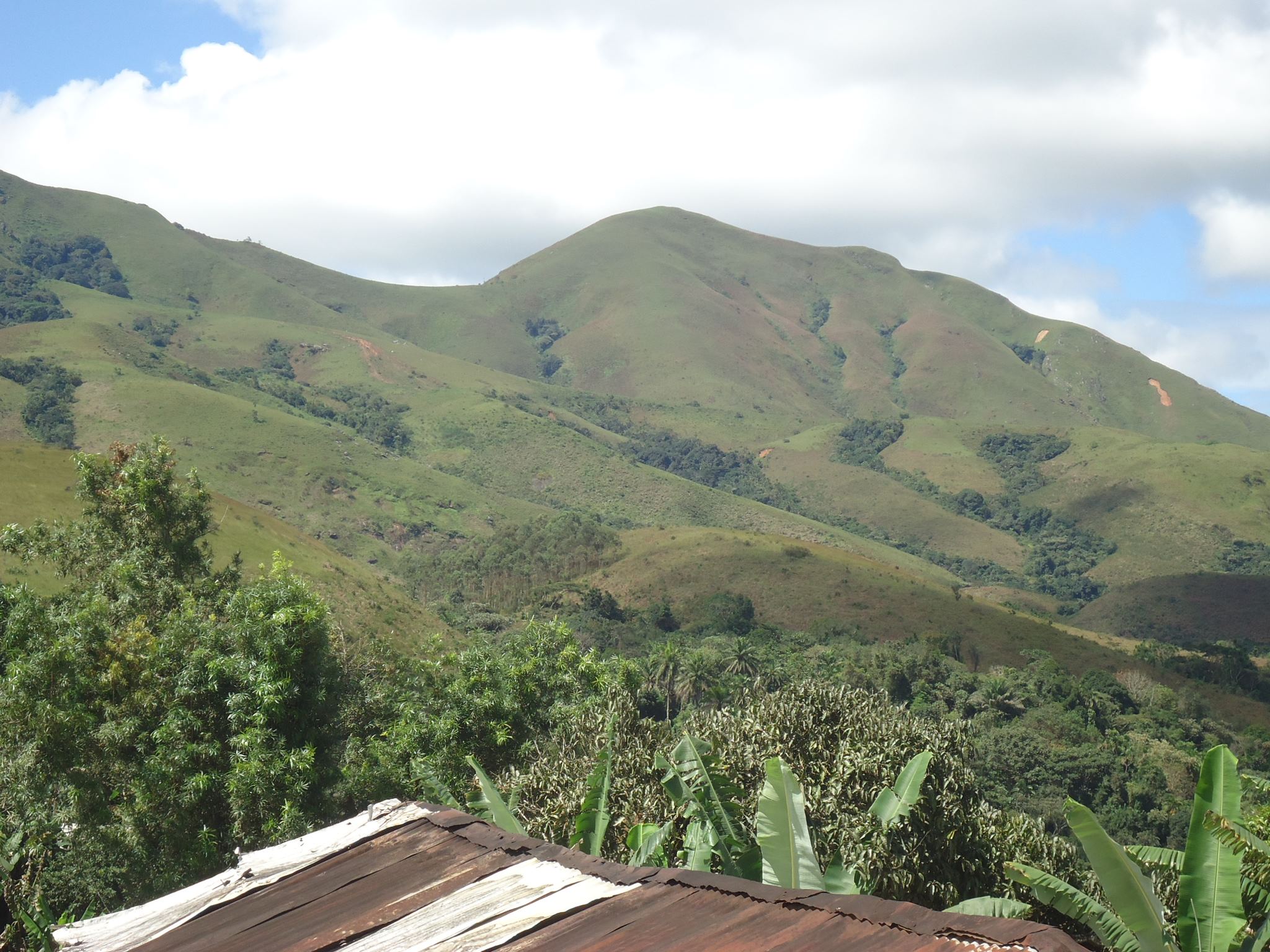 Batcha Online – Actualité et Informations sur Batcha et sa communauté