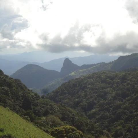 Connaitre Batcha – Batcha Online