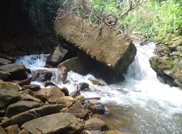 Connaitre Batcha – Batcha Online