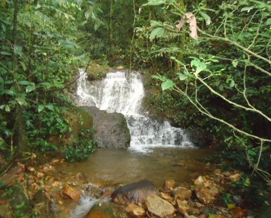 Connaitre Batcha – Batcha Online